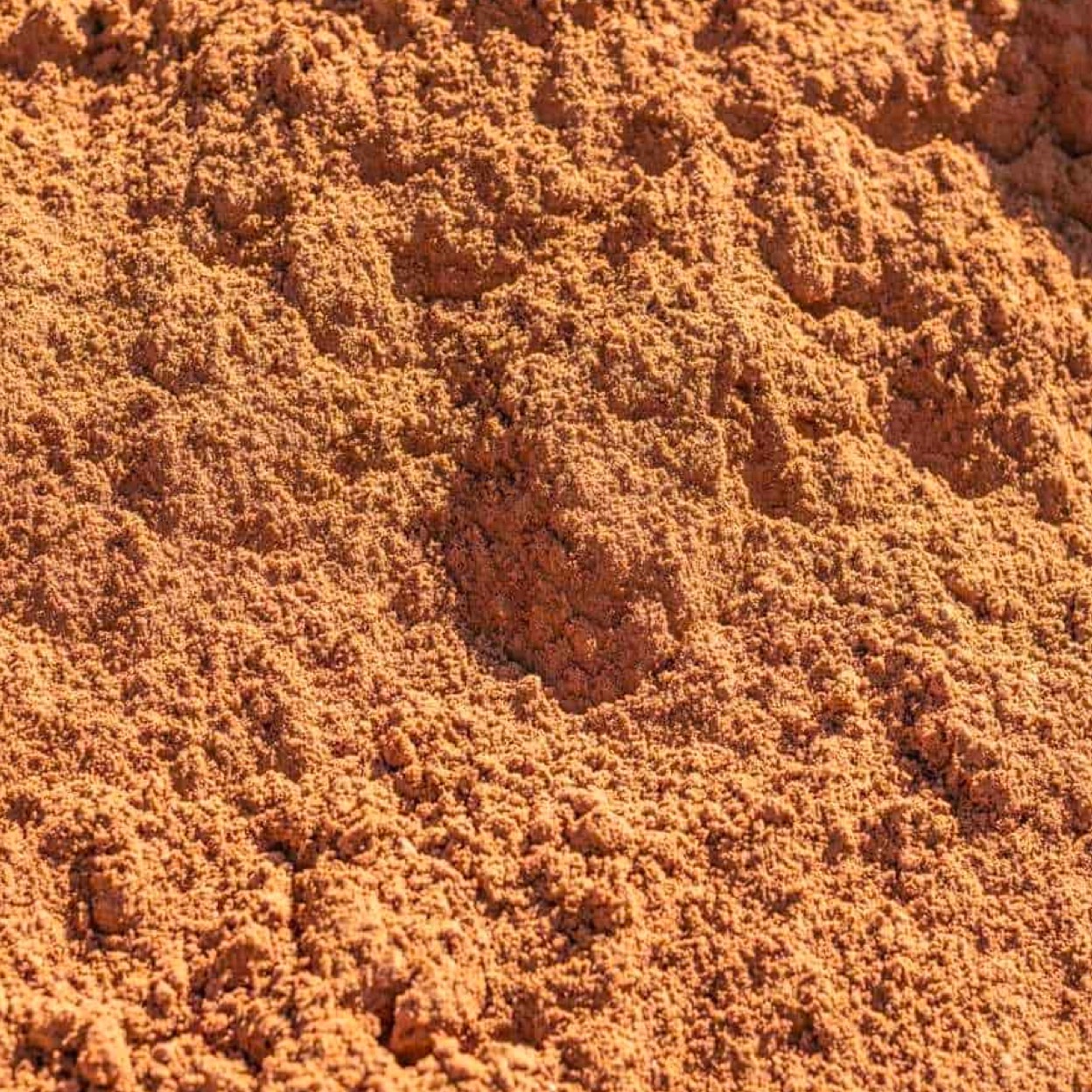 Sandy Loam | Hunter Valley Landscape Supplies